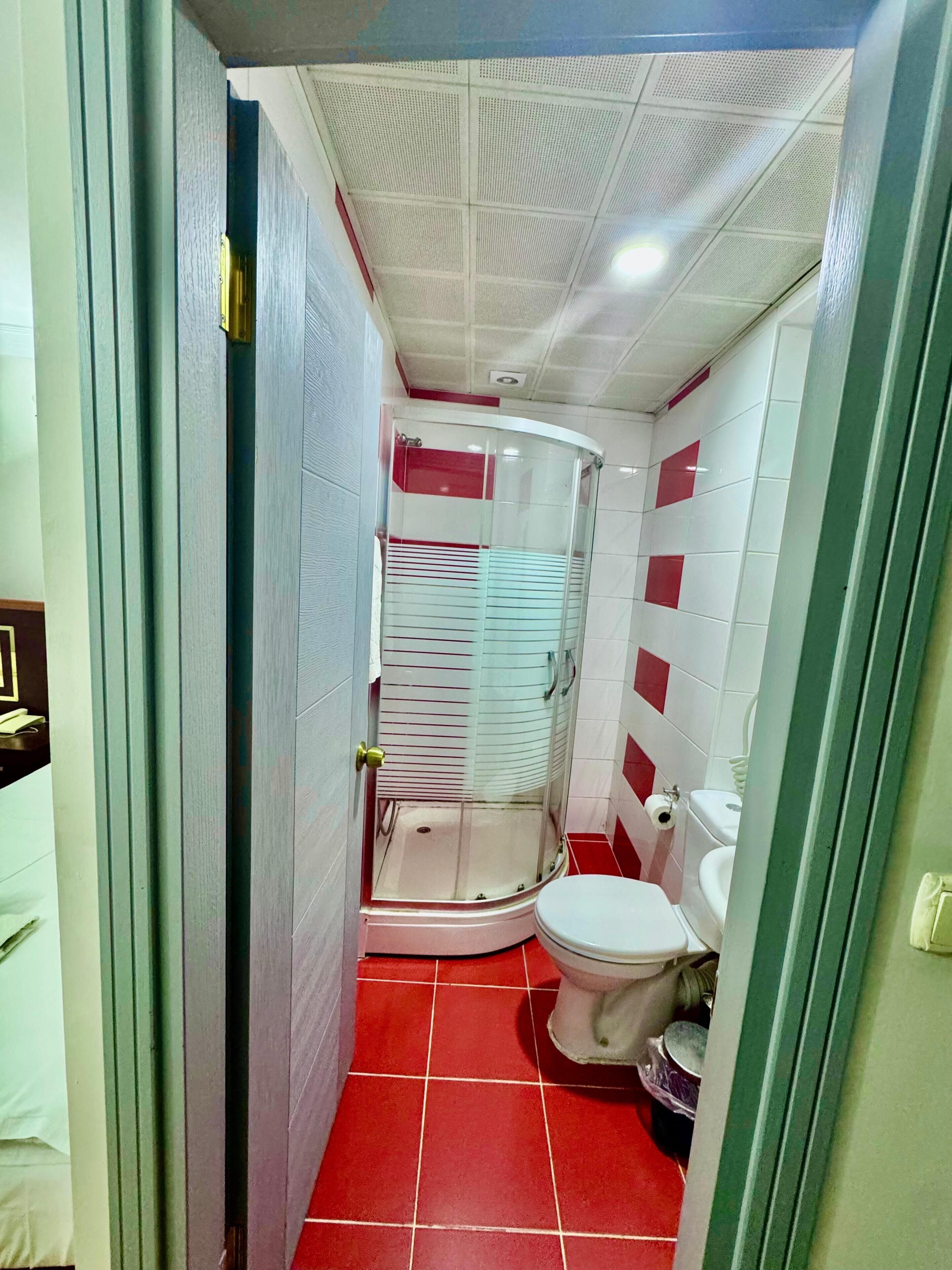 Casa de banho com chuveiro, sanita e chão em azulejos vermelhos.