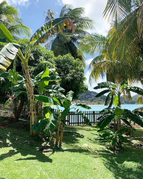 Hideaway Apartments Grenada - Grenada