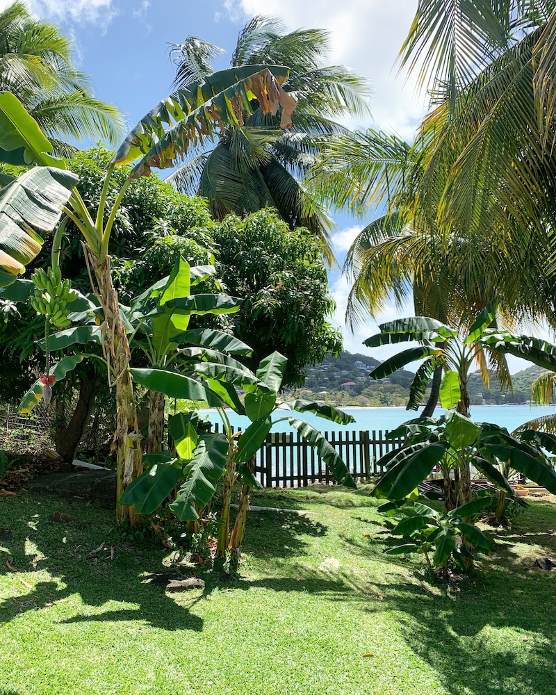 Hideaway Apartments Grenada - Granada