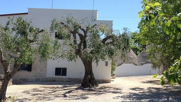 Estacionamento grátis