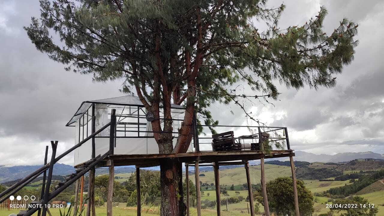 Uma casa na árvore com estrutura de vidro, plataforma de madeira e guarda-corpo de metal, com vista para uma paisagem montanhosa.