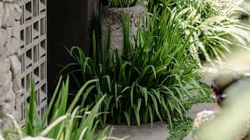 Jardim