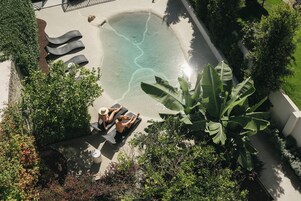 Piscina no terraço com duas espreguiçadeiras e uma bananeira grande.
