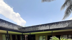 Um pátio com gramado bem cuidado, uma palmeira e um edifício de design moderno com teto perfurado.