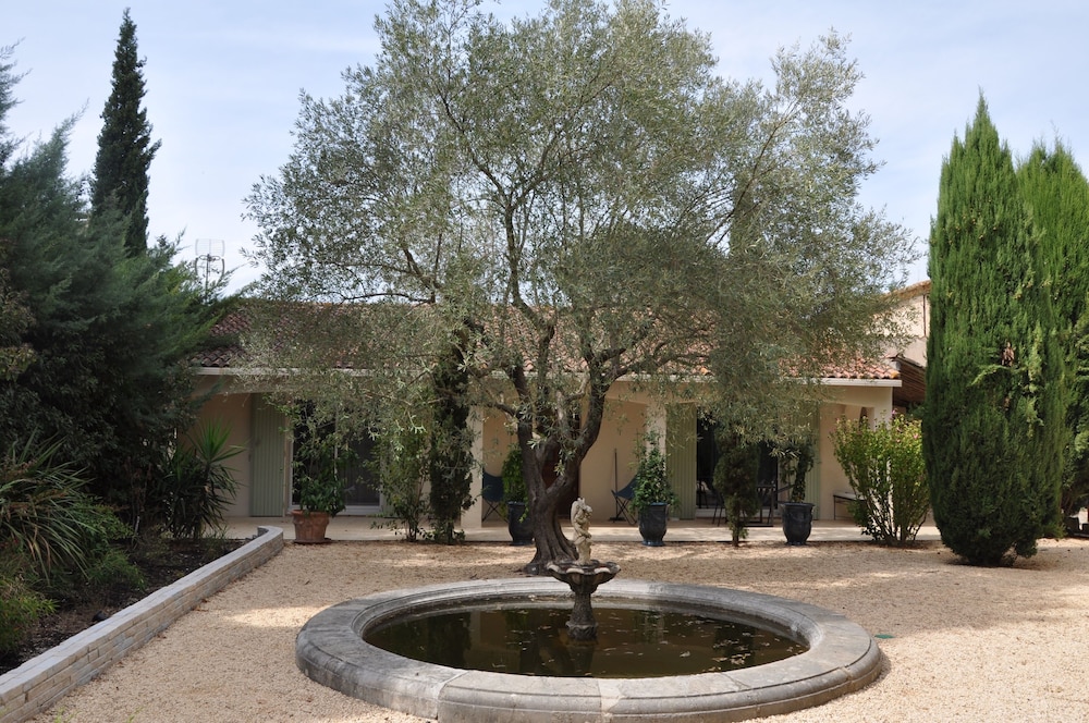 Chambres D'hôtes Sous L'olivier - Montpellier