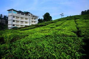 Um edifício de vários andares com varandas, rodeado por plantações de chá verde exuberantes.