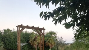 Um pátio externo com móveis de vime, uma pérgola de madeira e um vaso com planta.