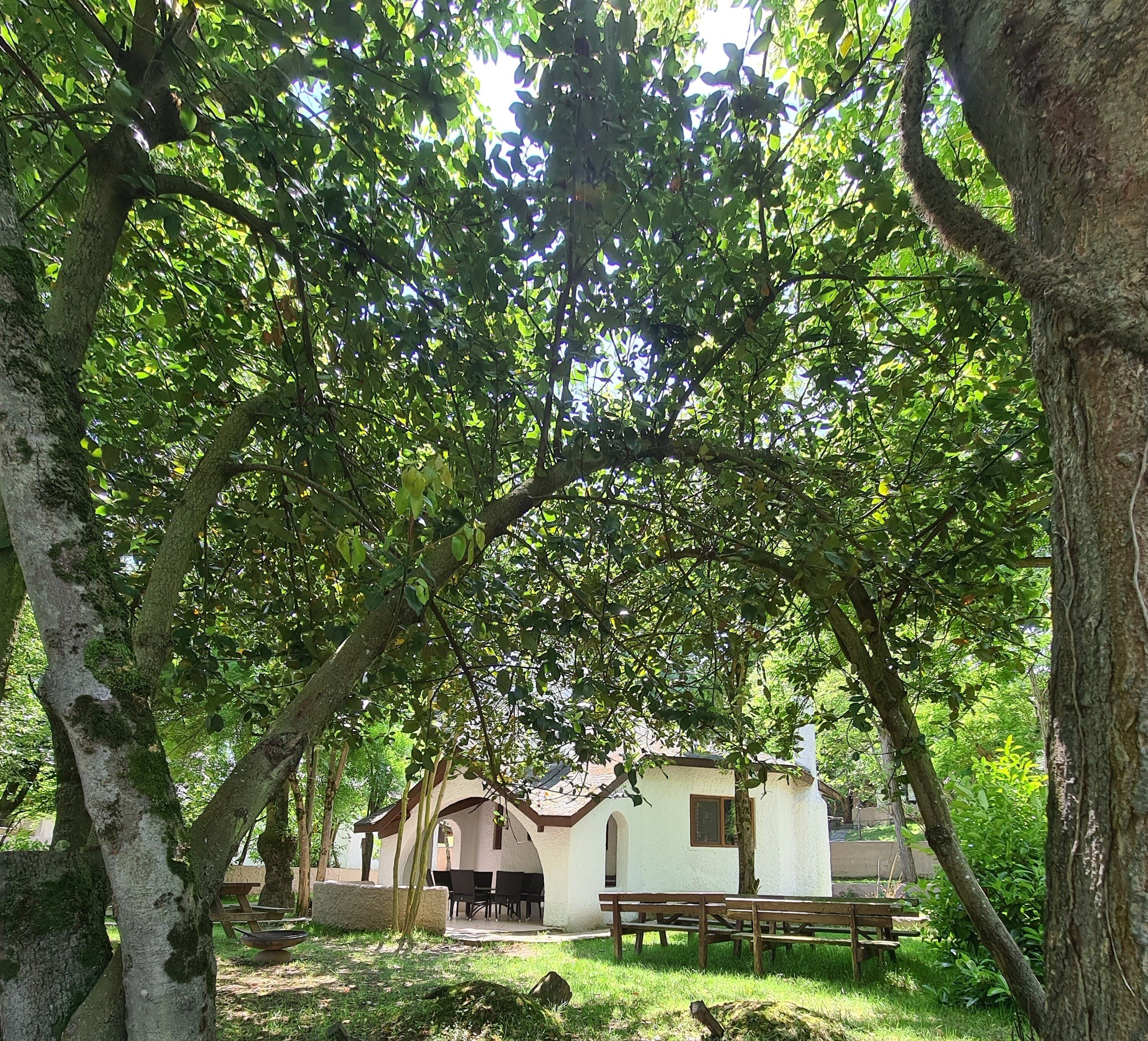 Terraço/pátio