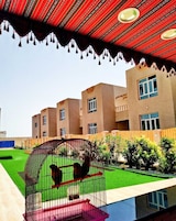 Um edifício com vários andares, um pátio com grama verde e uma gaiola de pássaros com duas aves.