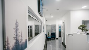 Um corredor moderno com porta de vidro, uma cadeira azul e um vaso com planta.