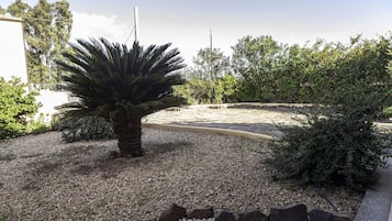 Jardim