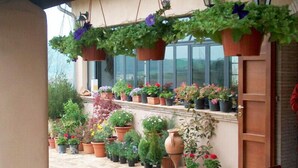 Varanda com plantas e flores em vasos, um banco de madeira e uma porta.