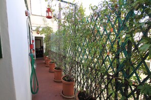Um corredor exterior estreito, com plantas em vasos de um lado e uma mangueira do outro.