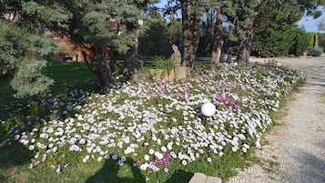 Jardim
