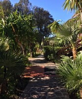 Área da propriedade