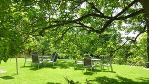 Uma área de pátio com mesa e cadeiras sob uma árvore, cercada por um gramado bem cuidado.
