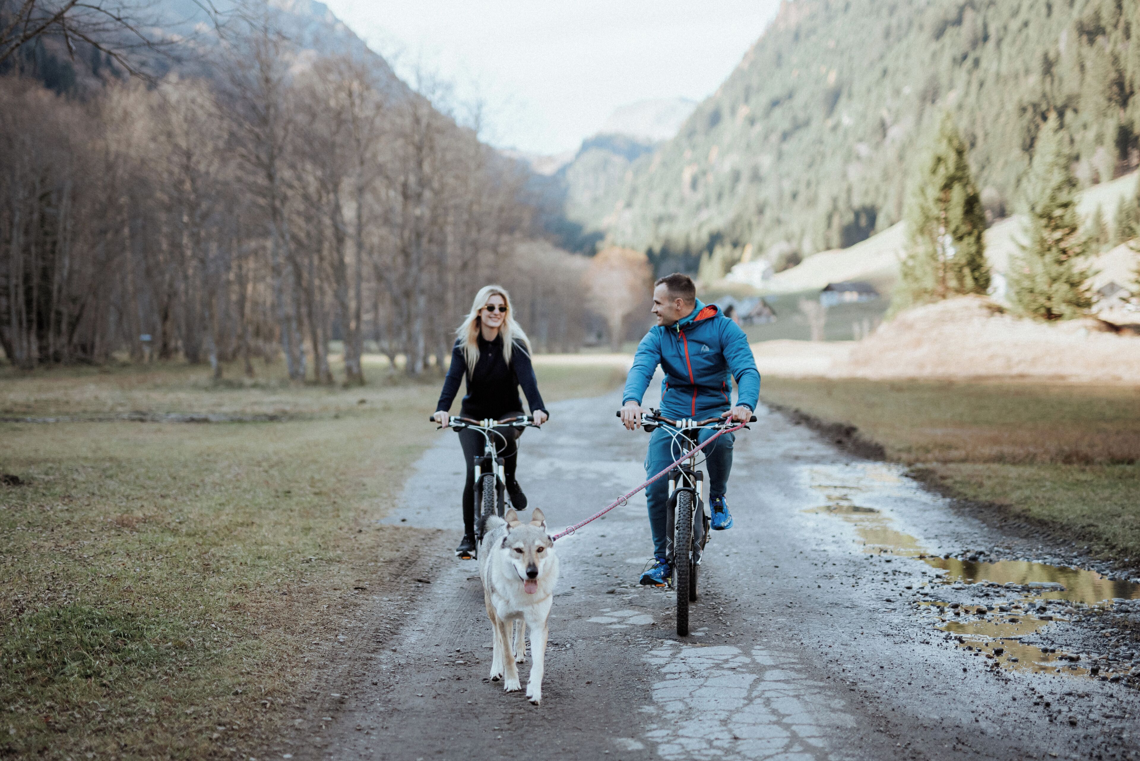 Uma trilha com dois ciclistas e um cão.