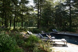 Piscina com deck de madeira e espreguiçadeiras, cercada por floresta densa.