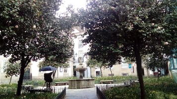 Área da propriedade