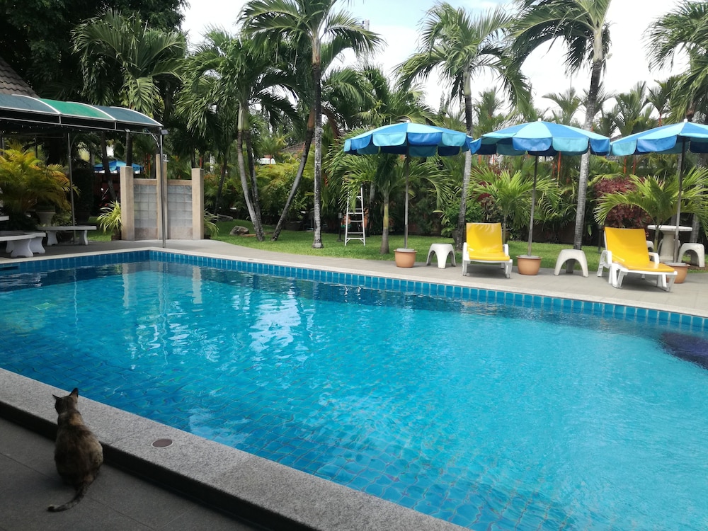 Lonops Paradise - Pattaya City