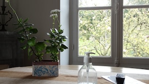 Um quarto com janela, uma mesa com frasco de álcool em gel, uma planta em vaso e um controle remoto.
