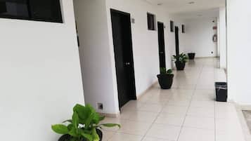 Entrada