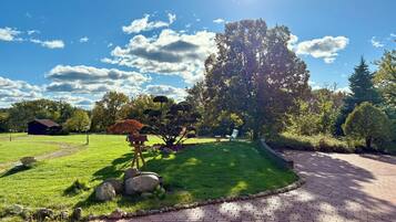 Uma trilha pavimentada, um banco e uma árvore em um jardim ajardinado.