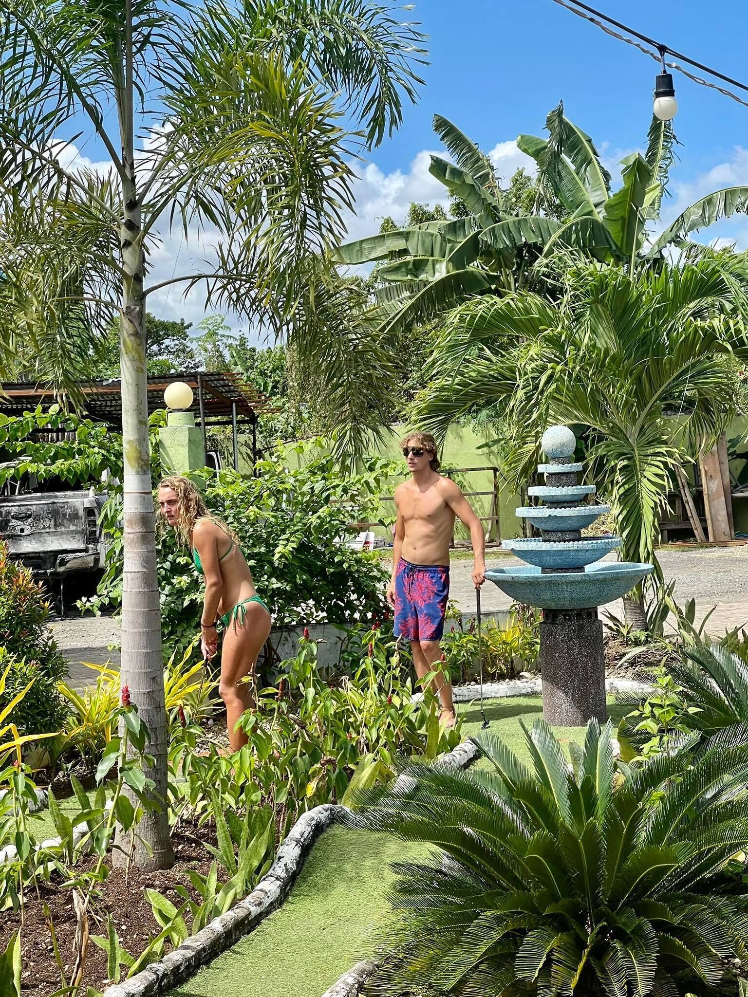 Um jardim com uma fonte, palmeiras e um caminho.