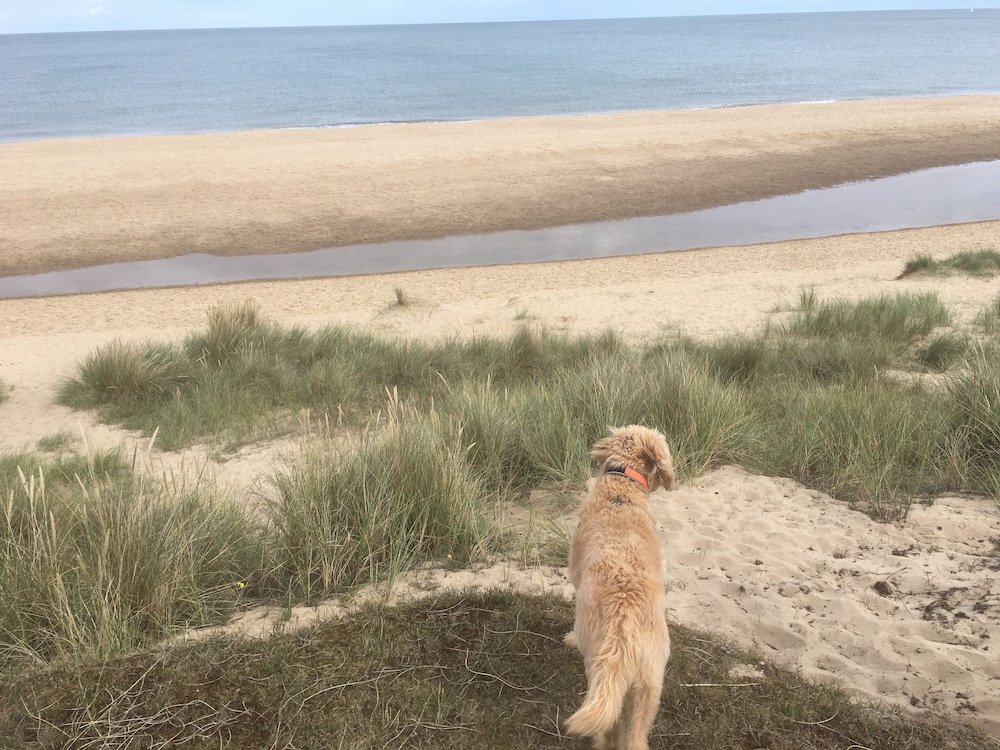 Chien Chalet Convivial Moments De Belle Plage De Winterton - Winterton-on-Sea