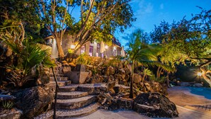 Uma escadaria de pedra leva a uma casa rodeada por plantas tropicais e uma piscina.