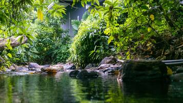 Quarto Duplo Deluxe | Terraço/pátio interior