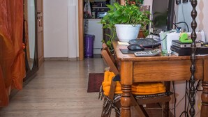 Uma sala de jantar com mesa de madeira, cadeiras, planta em vaso e luminária.