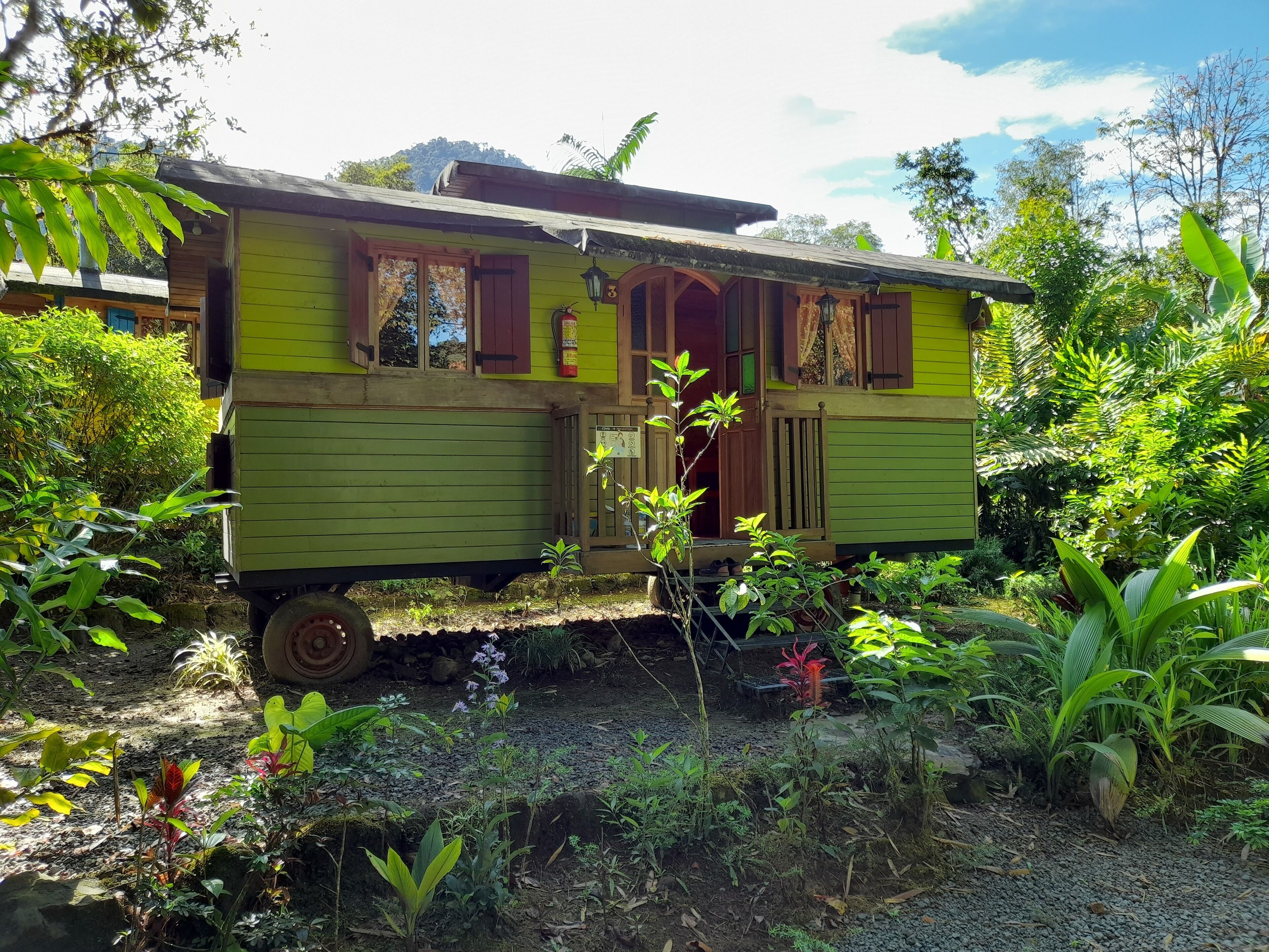 Uma casa de madeira verde com varanda, rodeada por vegetação exuberante.