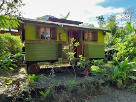 Uma casa de madeira verde com varanda, rodeada por vegetação exuberante.