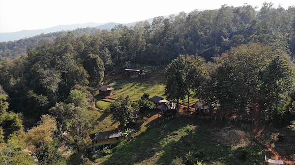 Chiang Mai Elephant Friends - Mae Wang District