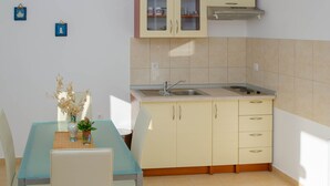 Apartamento Standard, 1 quarto, varanda | Kitchenette privada