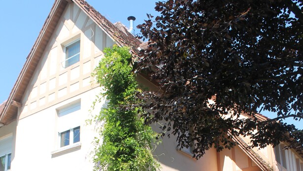 Um edifício de dois andares com uma varanda, uma porta de entrada e uma escadaria que leva ao acesso.