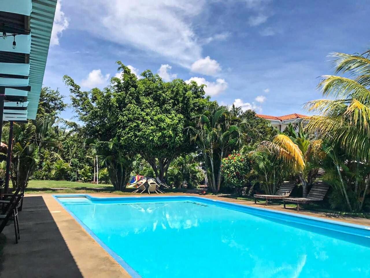 Piscina externa