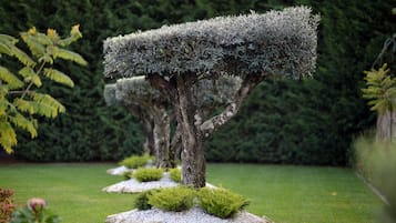 Jardim