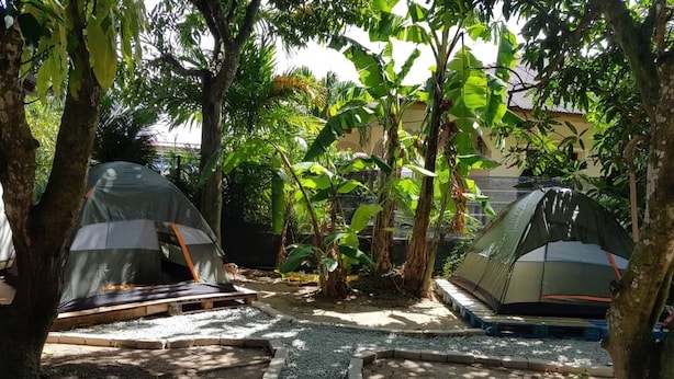Jardim