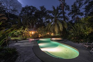 Uma piscina com design curvo, rodeada por palmeiras e plantas tropicais.