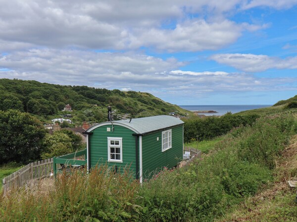 Lady Bird Retreat - Saltburn-by-the-Sea