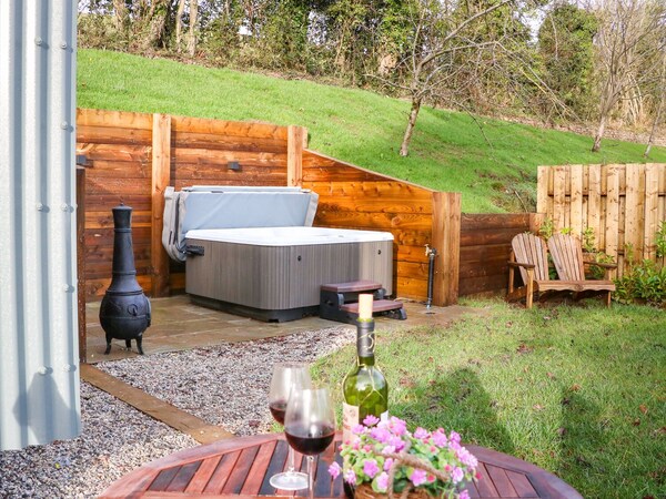 Little Silver Fox - North Devon