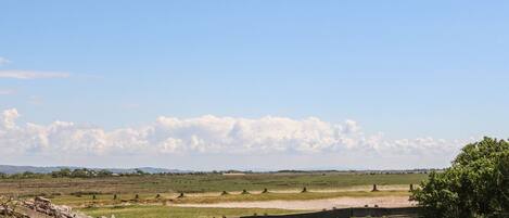 Paisagem rural com campos abertos, algumas árvores esparsas e um céu limpo.