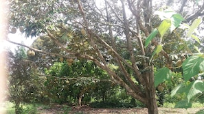 Fachada do alojamento