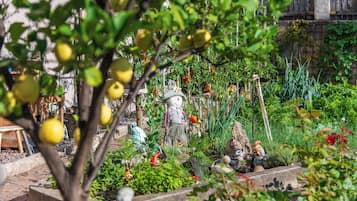 Apartamento (Garten) | Vista para o jardim