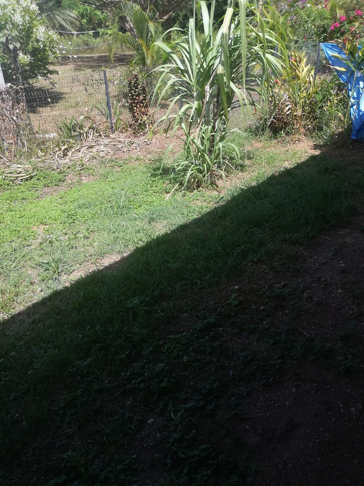 Duplex Alexandra Ray Luis - Cayenne