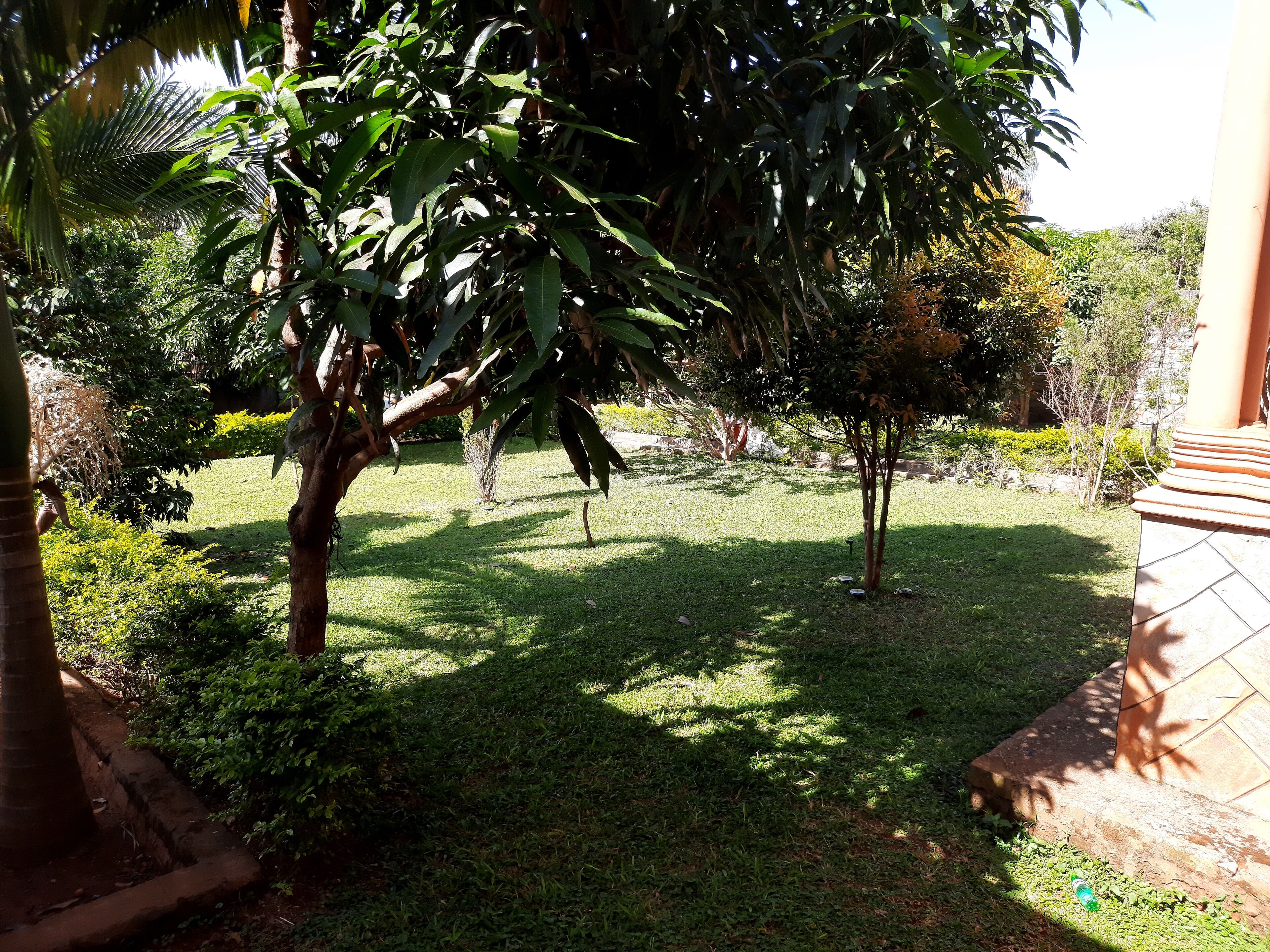Um jardim bem cuidado, com diversas árvores e arbustos, gramado impecável e um muro de pedra.