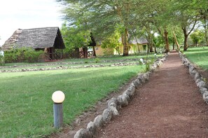 Jardim