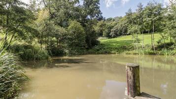 Um cais de madeira se estende sobre um lago tranquilo, rodeado por vegetação exuberante e árvores.